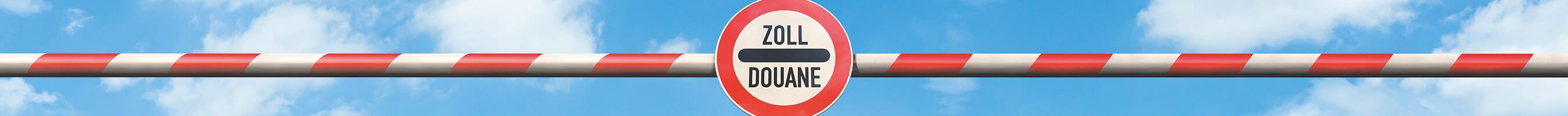 Zollzertifizierung - ICON Wirtschaftstreuhand GmbH